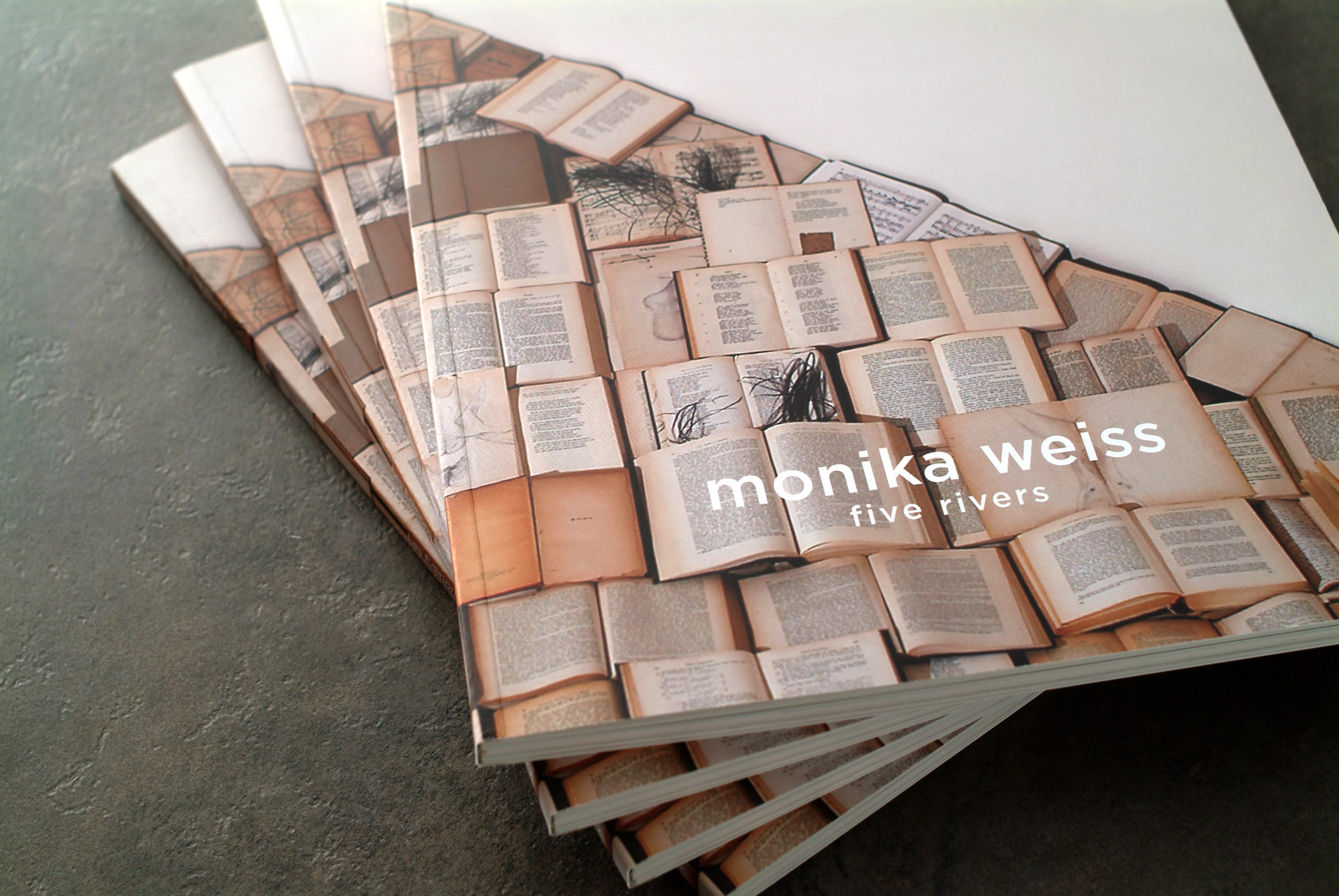 Monika Weiss project overview