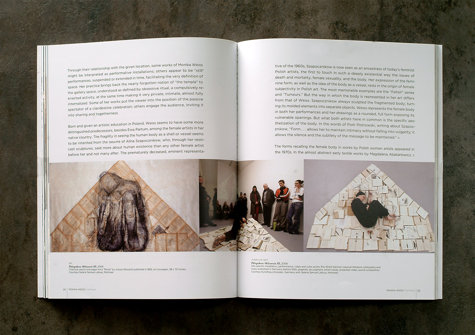 Monika Weiss project overview