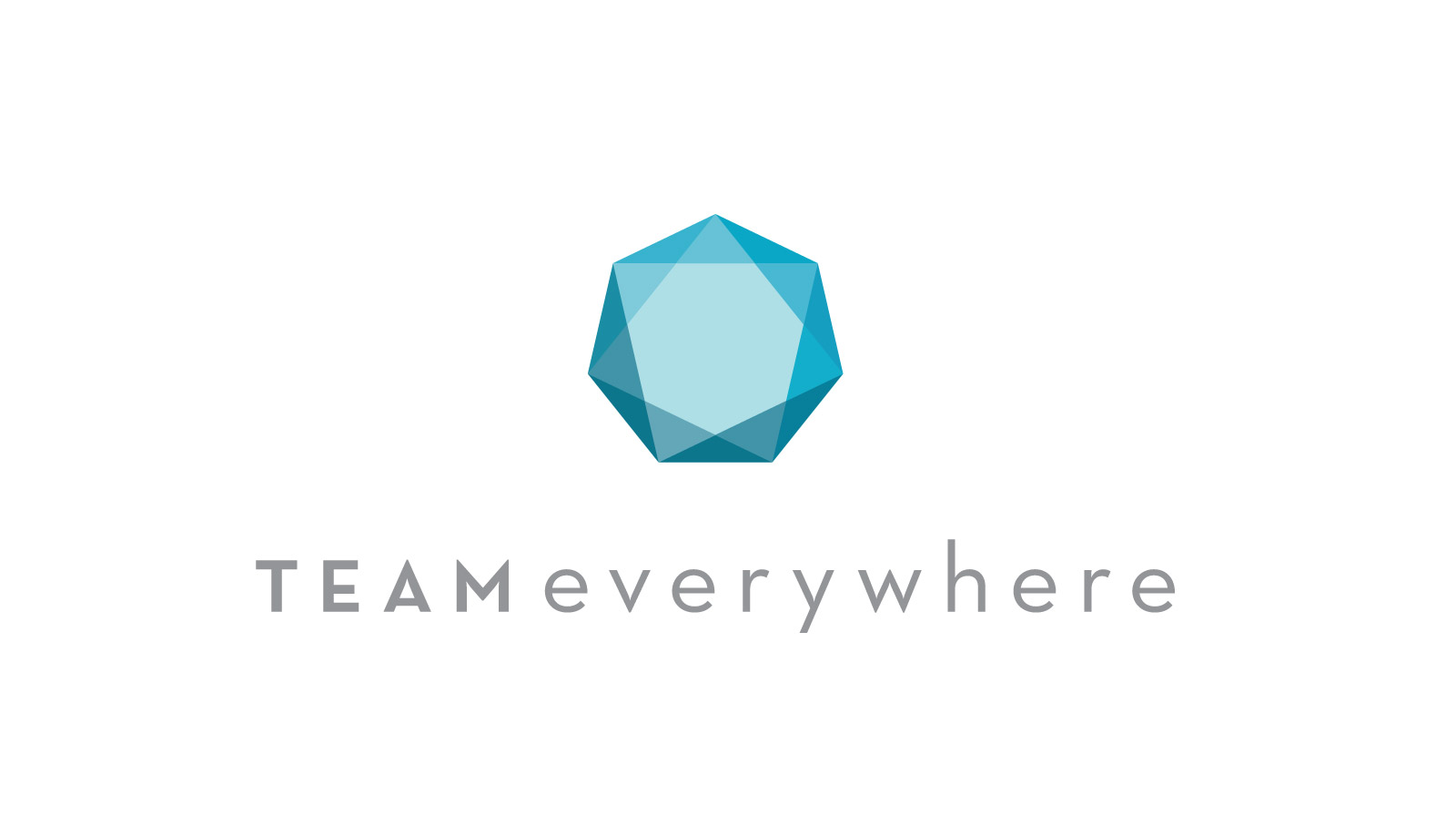 Team Everywhere project overview